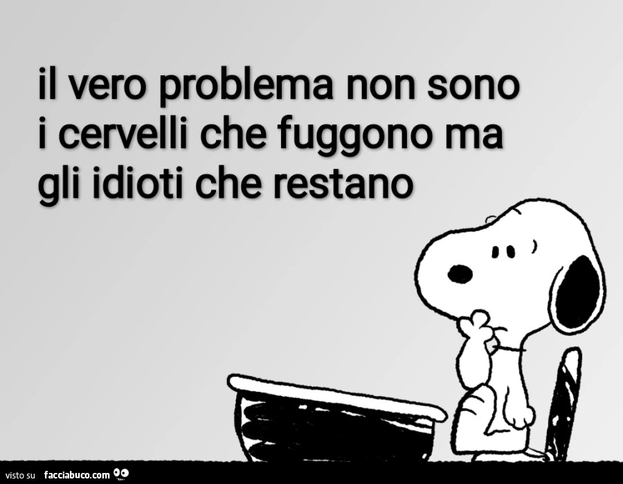 Cervelli che fuggono - Facciabuco.com