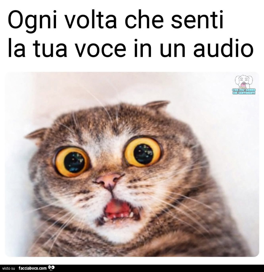 Facciabuco, il social network satirico!